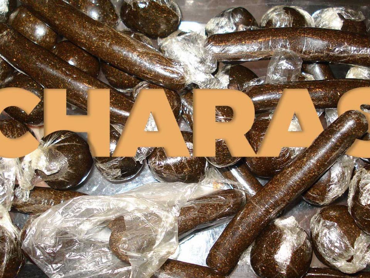 Charas Ganja